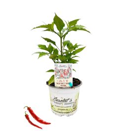 Salsa Chili - Fruity Volcano kaufen